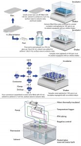 Implementation of the BPOG Extractables Testing Protocols: Working with ...