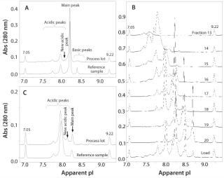 Imaged Capillary Isoelectric Focusing for Charge-Variant Analysis of ...