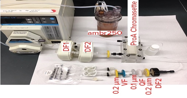 How to Consolidate a Platform Process into an Integrated Bioprocess for ...