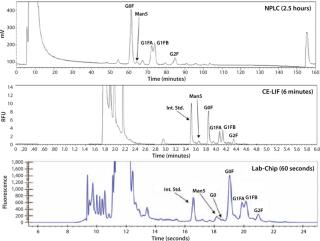 Increase Efficiency and Accelerate Protein Workflows with the LabChip GXII