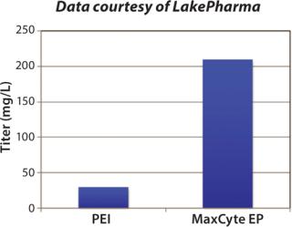 Large Scale CHO Transient Gene Expression Using Flow Electroporation