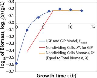 Analysis of Bacterial Biomass Growth and Metabolite Accumulation