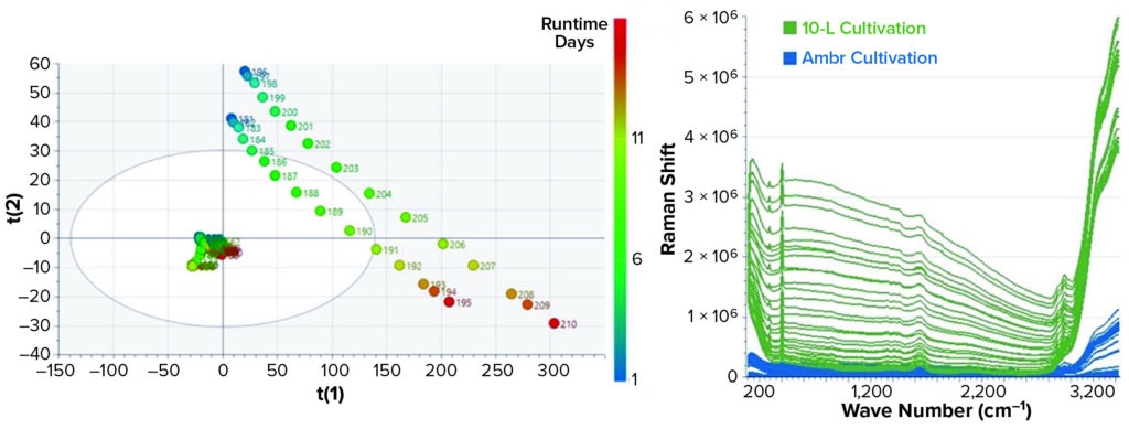 Raman Spectrometric PAT Models - BioProcess International
