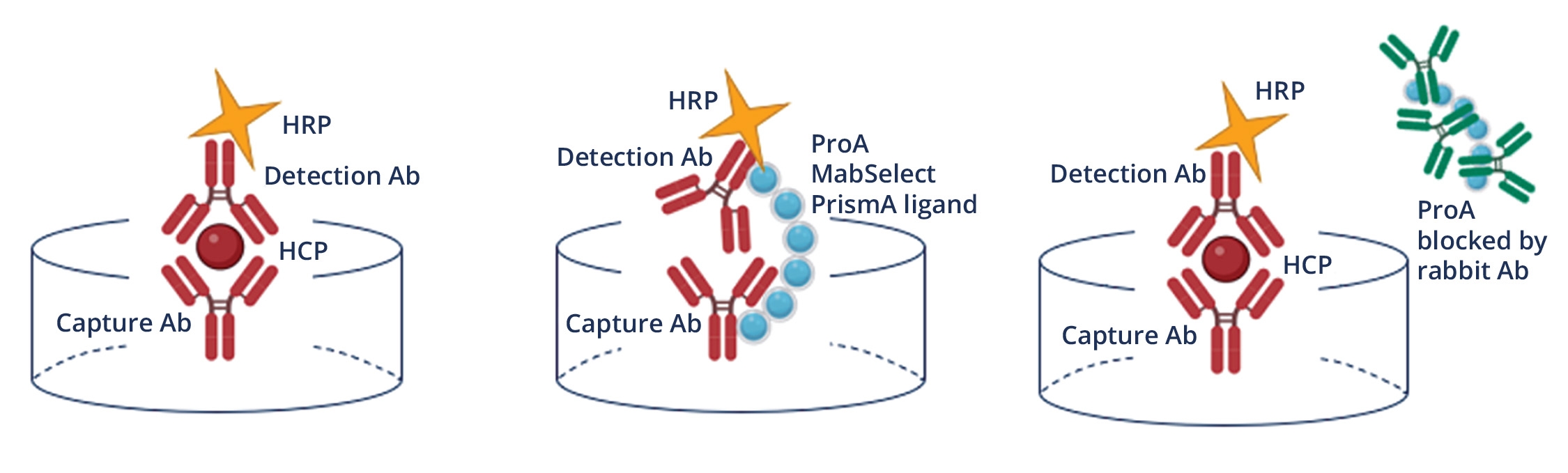 Optimized HCP Assay: Reduced Matrix Interference & Improved Performance