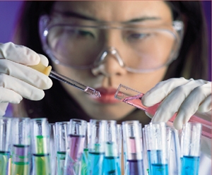 Fed-Batch Cell Culture Process Optimization