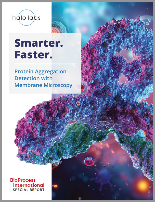 Detecting Protein Aggregation Using Membrane Microscopy