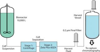 Large-Scale, Single-Use Depth Filtration Systems