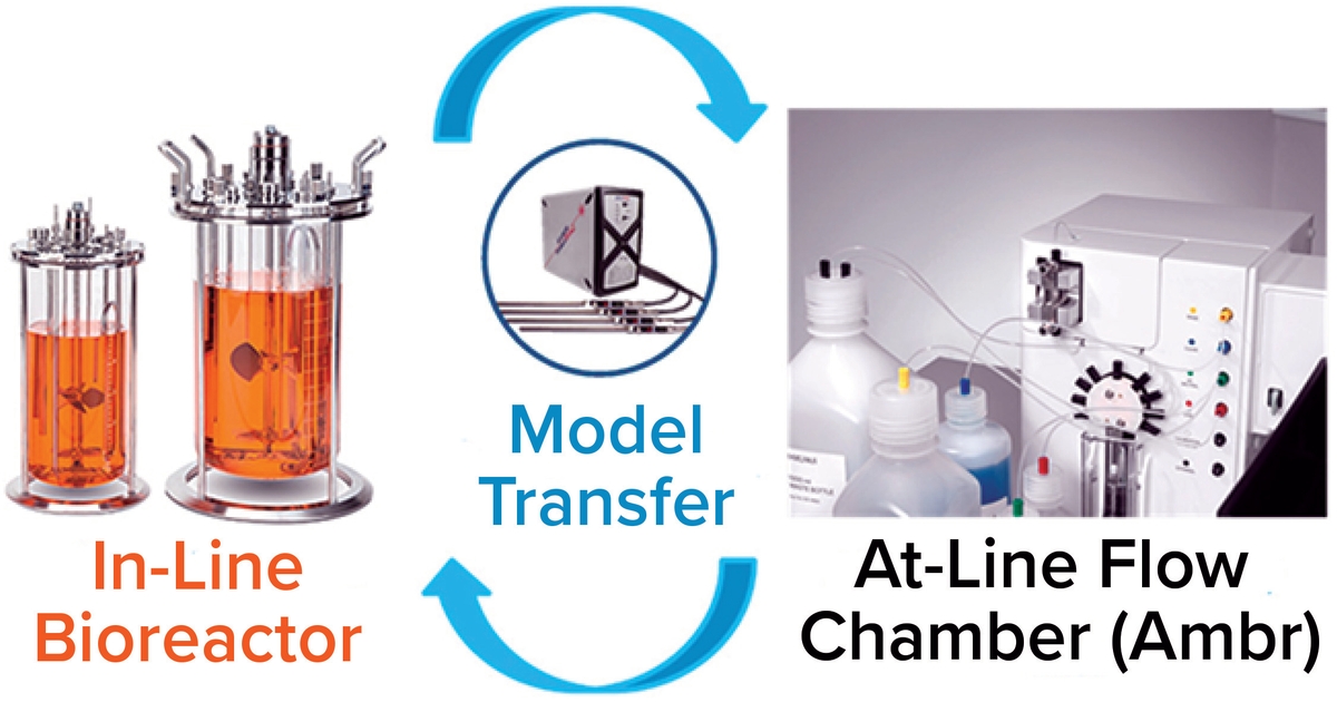 Raman Spectrometric PAT Models - BioProcess International