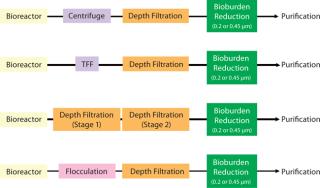 Large-Scale, Single-Use Depth Filtration Systems
