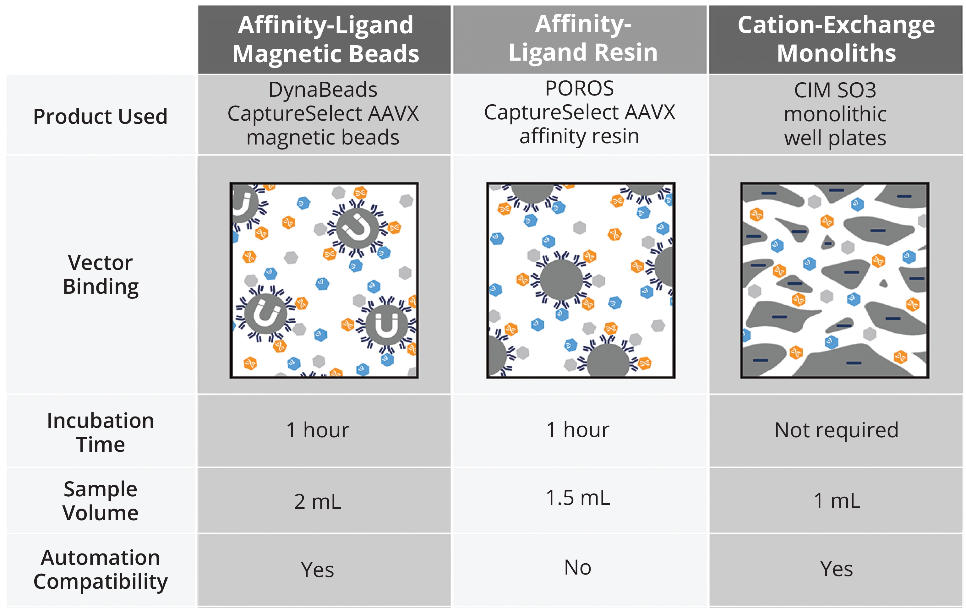 Mass Photometry for AAV Upstream Process Monitoring