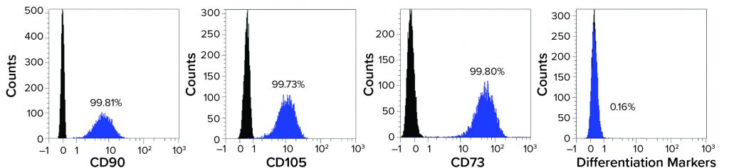 Cell Therapy Workflows Using Corning HYPERStack: MSC Production ...