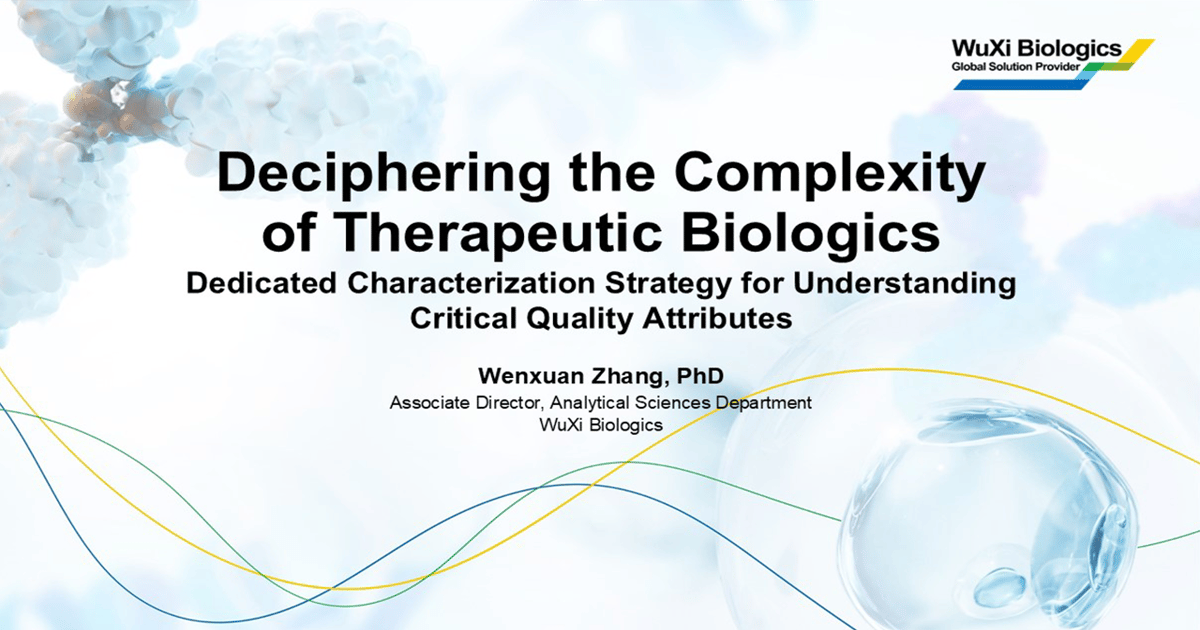 A Dedicated Characterization Strategy for Understanding Critical ...