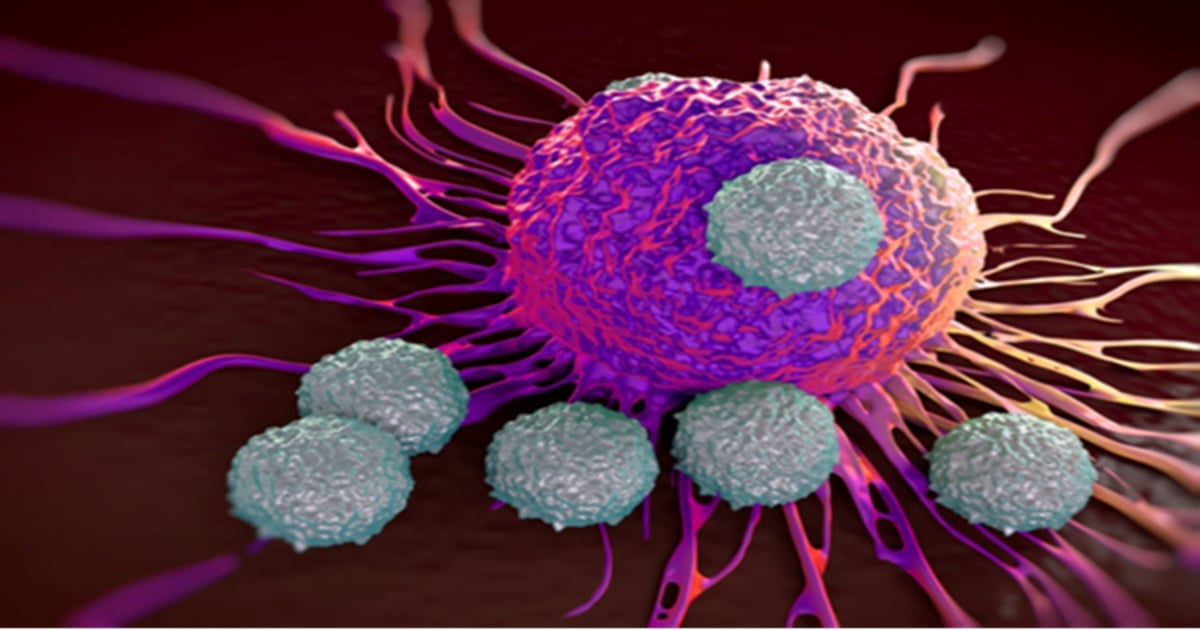 MaxCyte and Adicet partner to develop off-the-shelf T-cell therapies