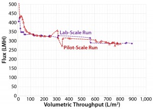 Virus FIltration Optimization: A Key to a More Efficient and Cost ...