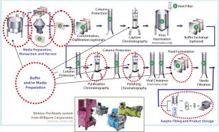 The Road to a Fully Disposable Protein Purification Process