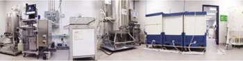 Achieving High-Efficiency Production with Microbial Technology in a ...
