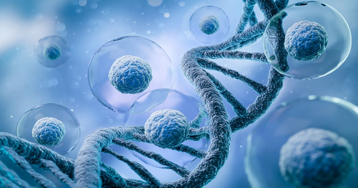 Transient Protein Expression in CHO Cells Optimization