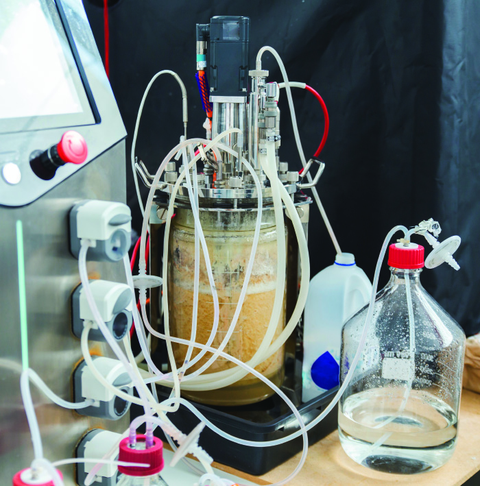 Lessons in Bioreactor Scale-Up: dCO2 Stripping Strategies