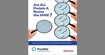 Are All Protein A Resins the Same? A Performance Comparison of Eight ...