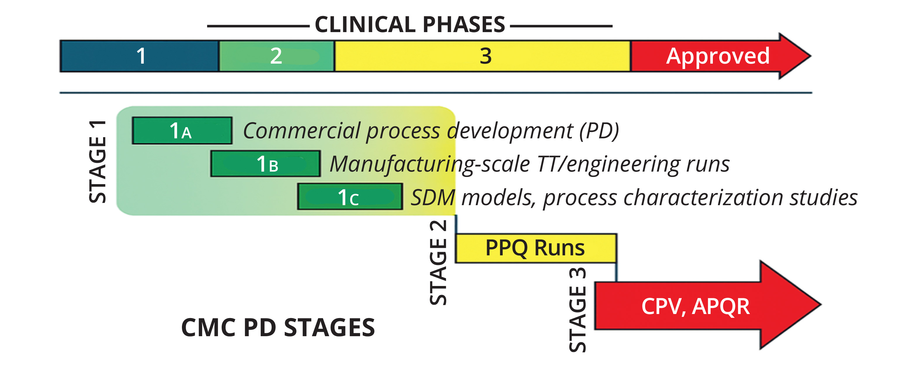 Synchronizing CMC Activities with Clinical Development