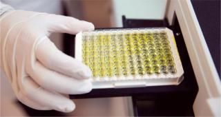 Comparability Protocols for Biotechnological Products