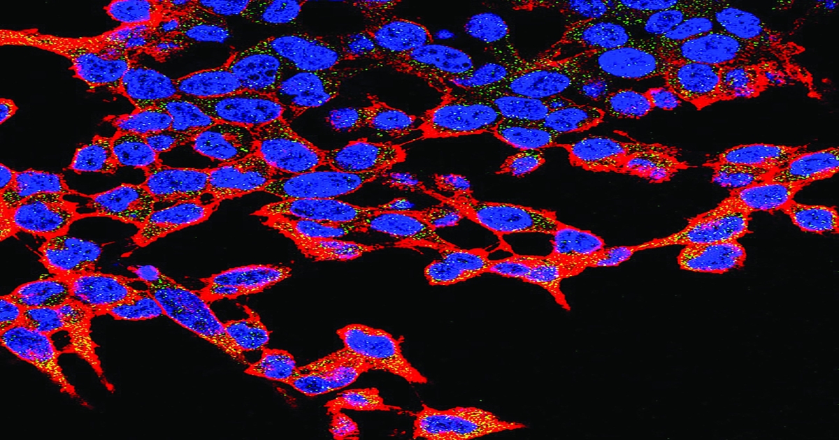 Cell-Line Development at BPI West 2021 - BioProcess International