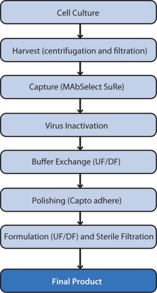 Optimization, Robustness, and Scale-Up of MAb Purification