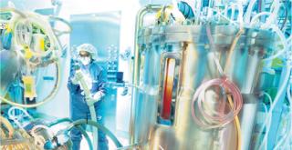 Cell Culture and Upstream Processing