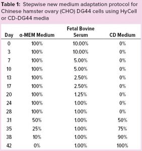 Streamlined Serum-Free Adaptation of CHO-DG44 Cells - BioProcess ...