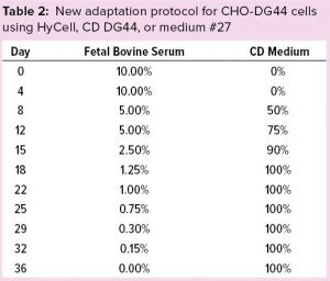 Streamlined Serum-Free Adaptation of CHO-DG44 Cells - BioProcess ...