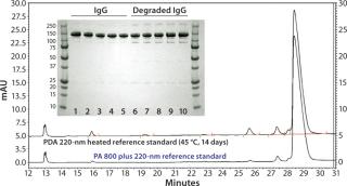 Comparing SDS-PAGE and CE-SDS for Antibody Purity Analysis