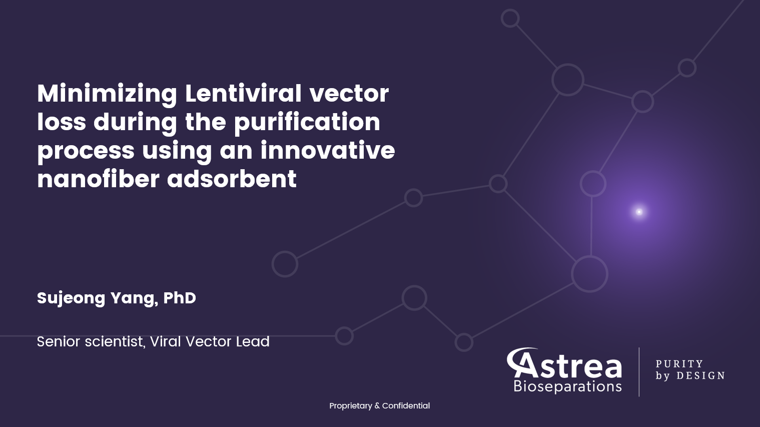 Innovative Nanofiber Adsorbent: Minimizing Lentiviral Vector Loss ...