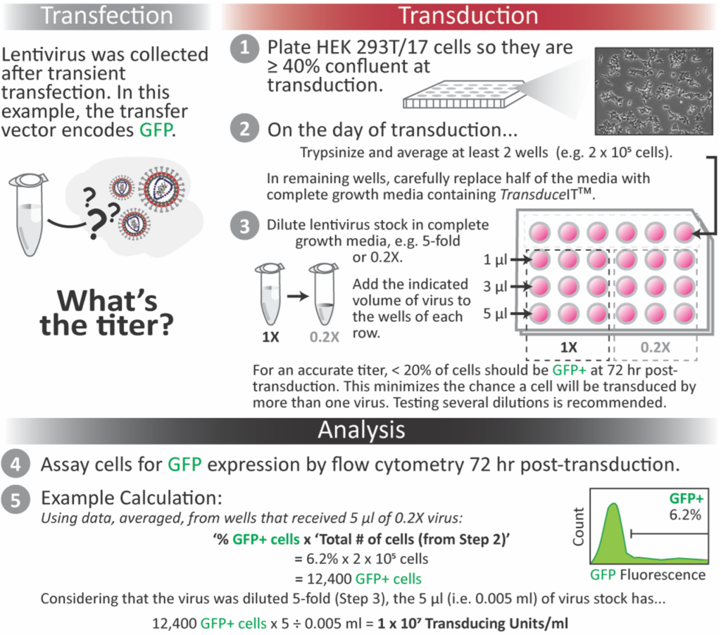 Understand viral titer and quality - BioProcess Insider