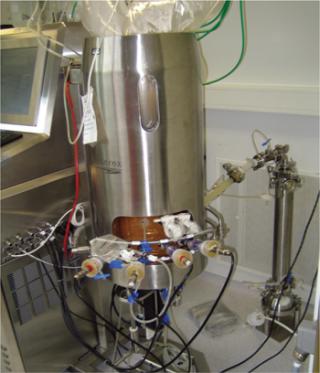 A Brief History of Perfusion Biomanufacturing