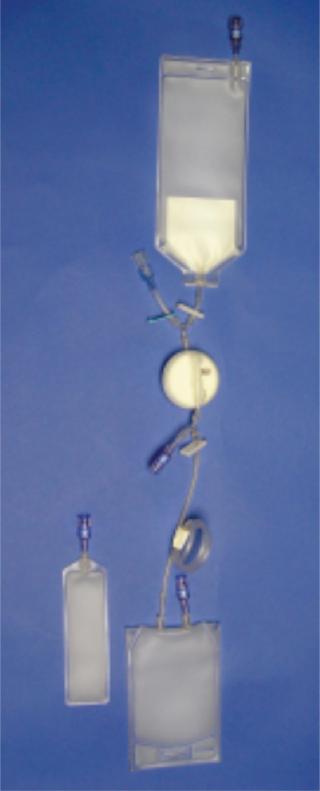 Seeding Tissue-Engineered Vascular Grafts in a Closed, Disposable ...