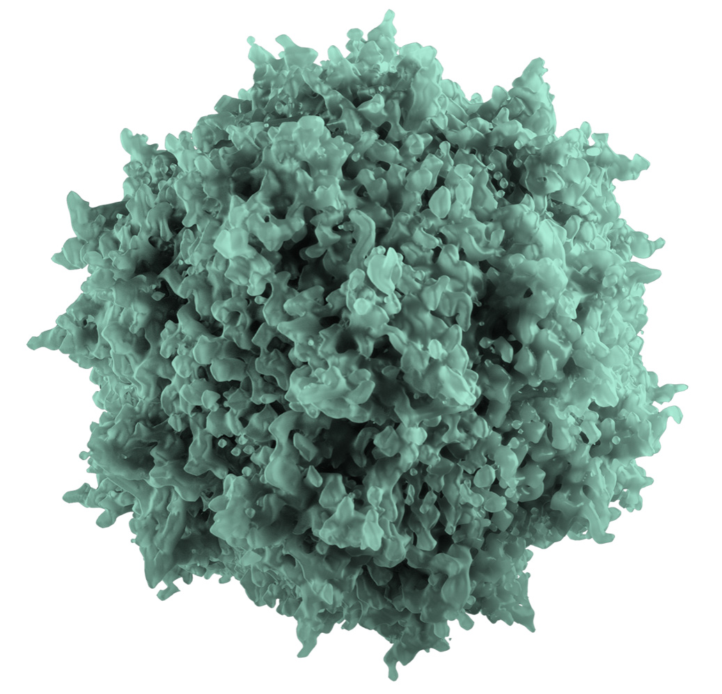 CLD Complexities in Viral-Vector Manufacturing