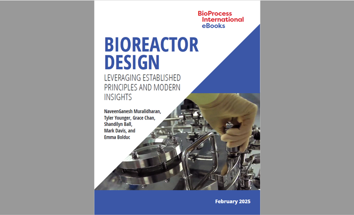 Fluid Flow And Mixing With Bioreactor Scale Up
