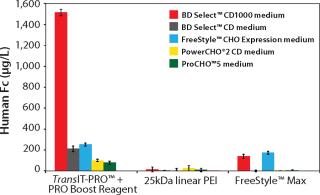 Maximize Protein Expression in CHO Suspension Cells