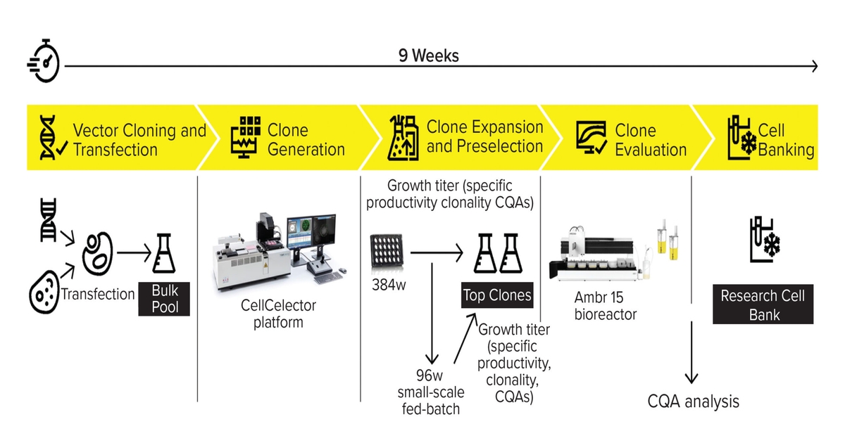 Cell-Line Development: Next Generation Platforms - BioProcess International