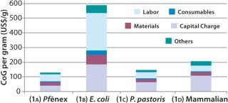 Modeling Bioprocess Cost