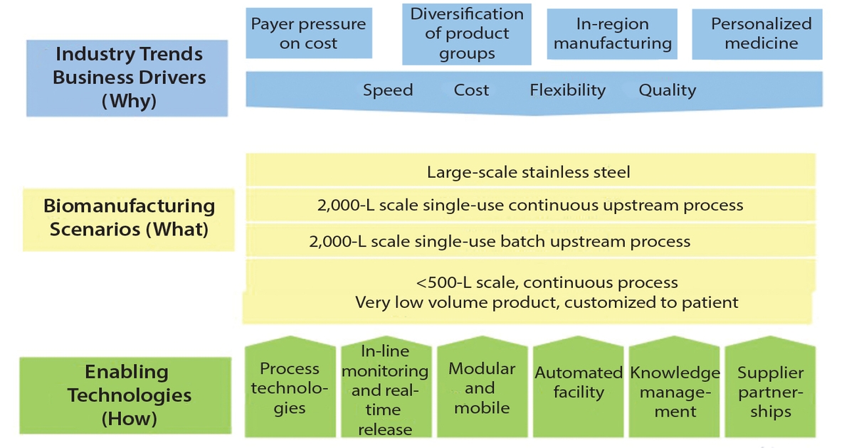 BioPhorum Operations Group Technology Roadmapping, Part 2: Efficiency ...