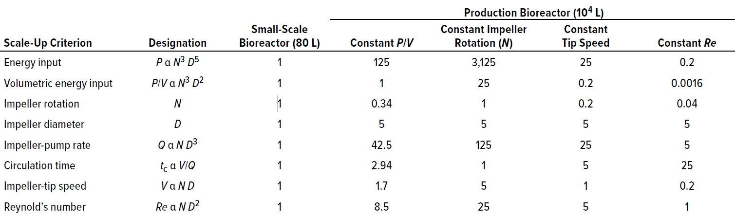 Exploring Principles of Bioreactor Scale-Up