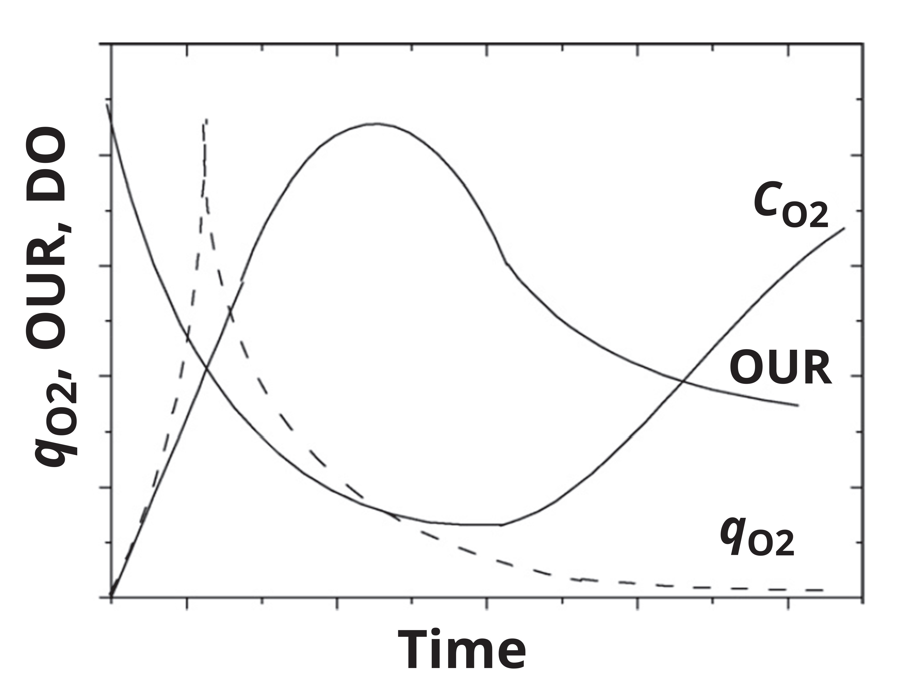 Bioreactor Scale-Up: Mass Transfer
