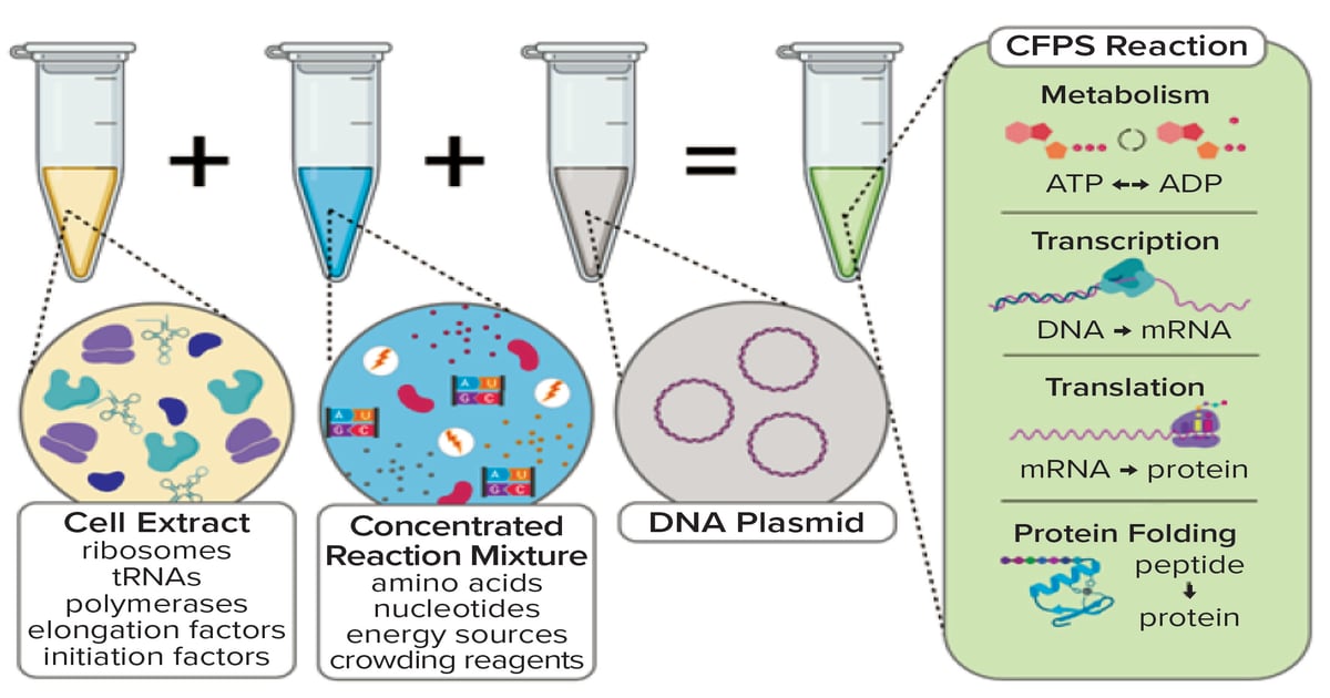 Cell-Free Synthesis of Recombinant Neurotoxins - BioProcess International