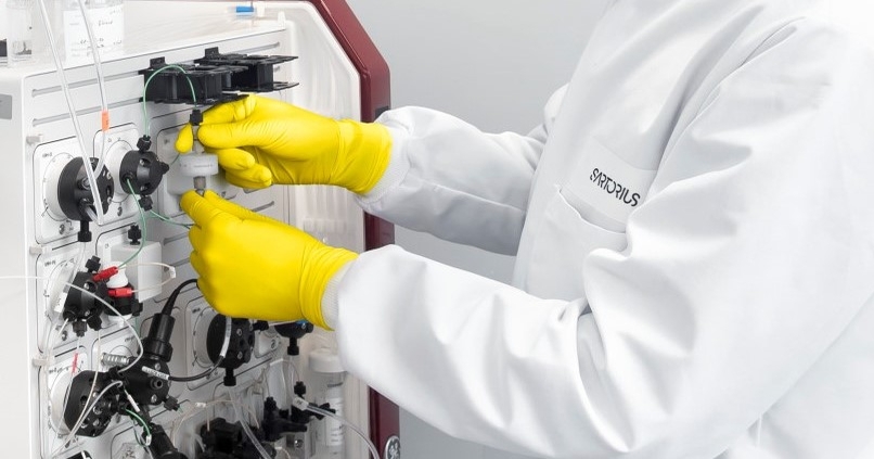 Best Practices for Ensuring High Virus Clearance When Using Anion ...