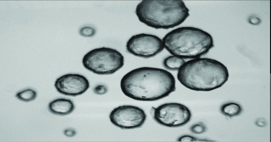 Hyalo Matrix Sterilization: Eliminiate Cold Chain - BioProcess ...