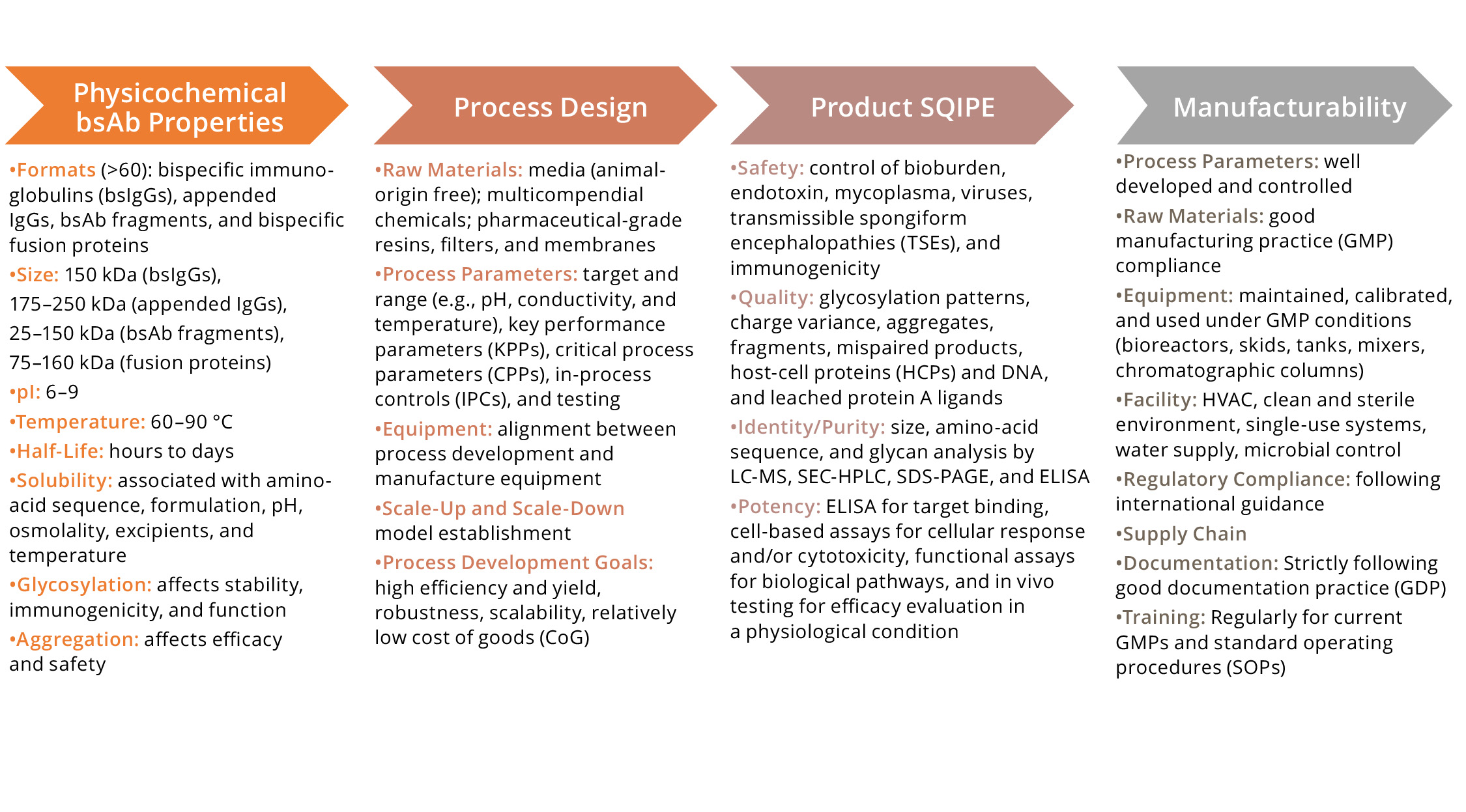 Bispecific Antibodies: Process Development & CMC Considerations