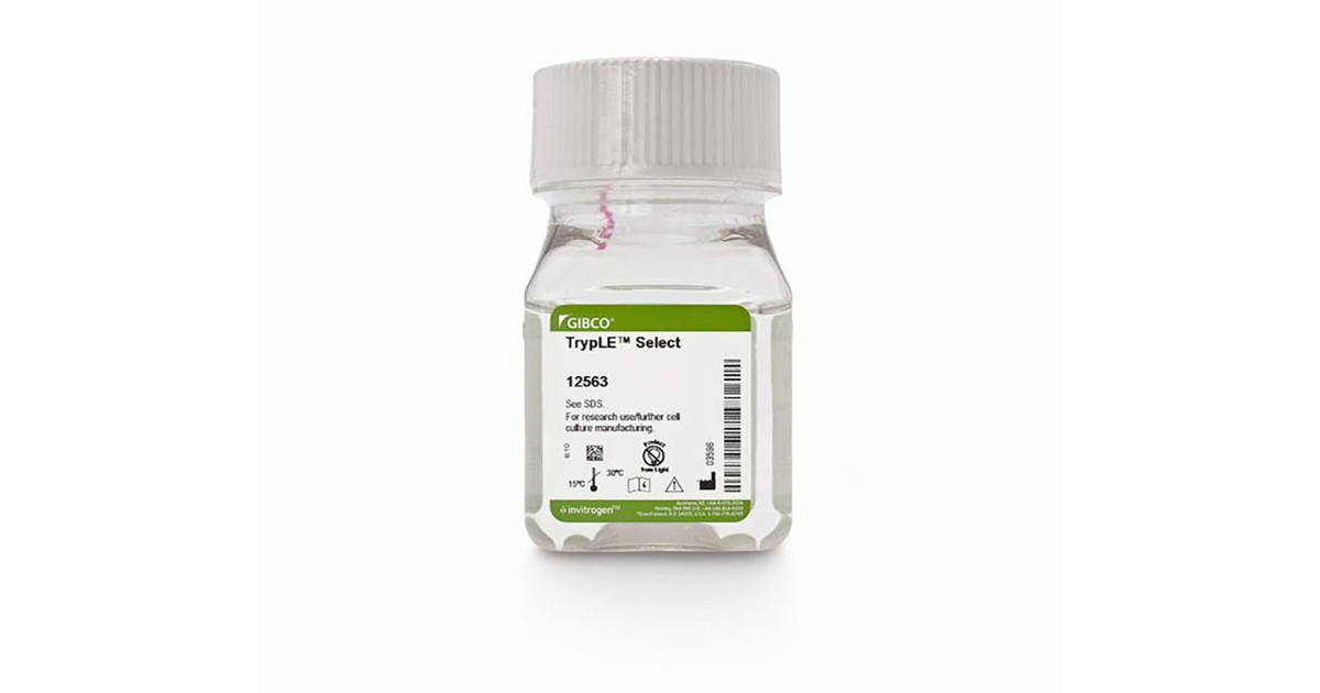 Gibco TrypLE Select Enzyme: An Alternative to Animal Trypsin for Cell ...