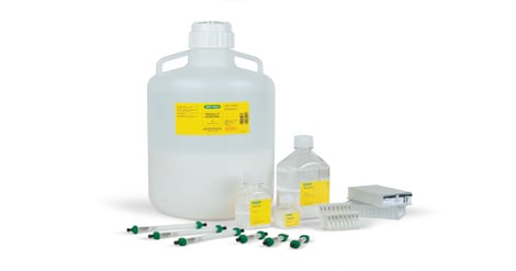New High Performance AEX Resin for Large Biomolecule Purification