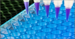 Potelligent® CHOK1SV: The Evolution of the GS Gene Expression System™